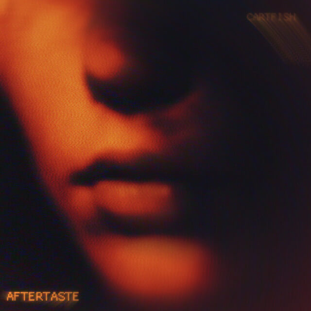 CARTFISH - Aftertaste Lyrics