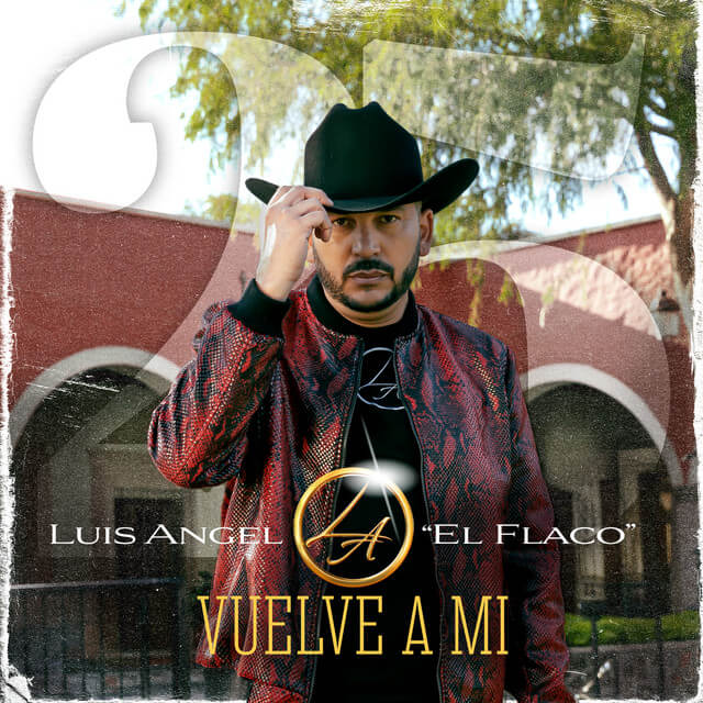 Luis Angel "El Flaco" - Vuelve a Mí Lyrics English Translation