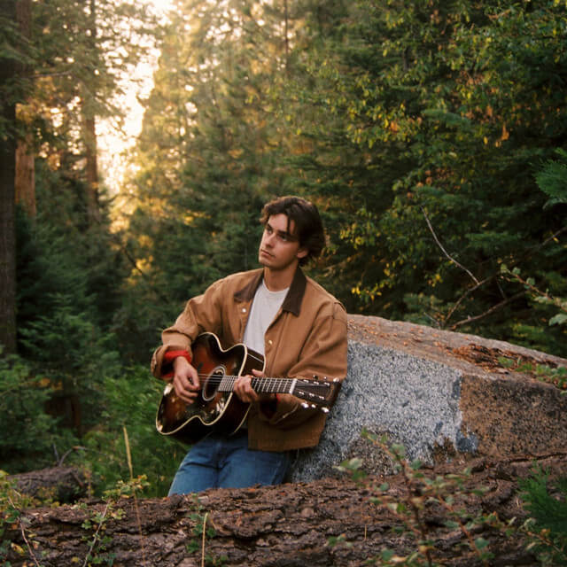 Noah Rinker - The Pines (2025 Album Tracklist & Details) | lyricsfa.com