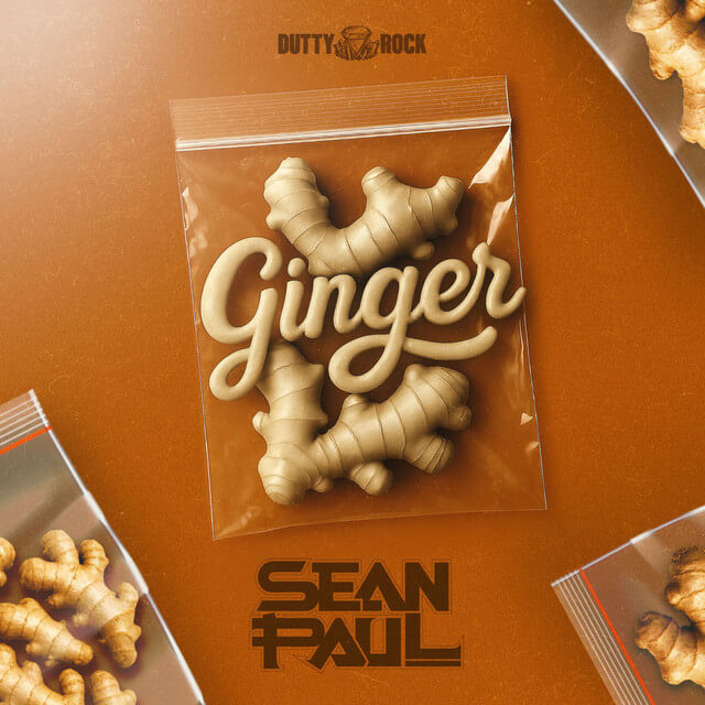 Sean Paul - Ginger Lyrics