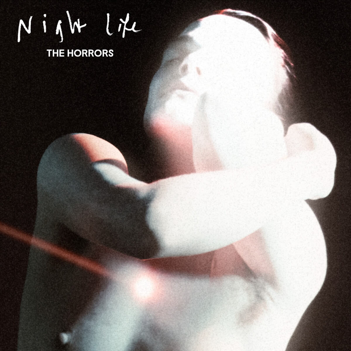 The Horrors - Night Life (Album Lyrics)